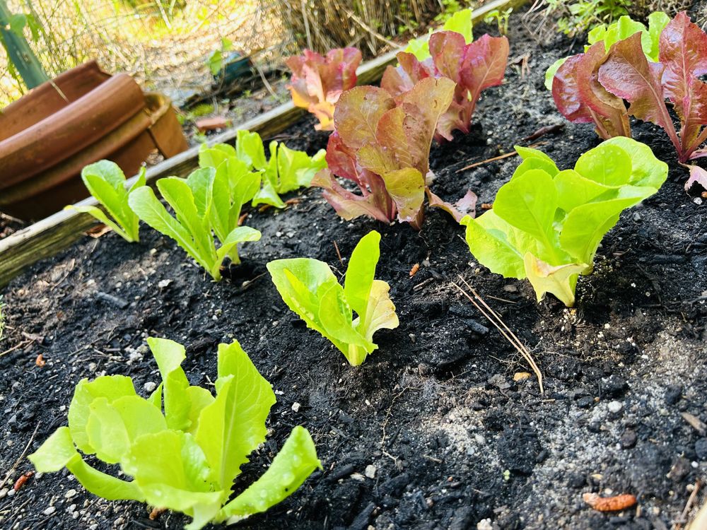 MAJESTIC GARDENS SERVICES - Updated October 2025 - Request a Quote - 22 ...