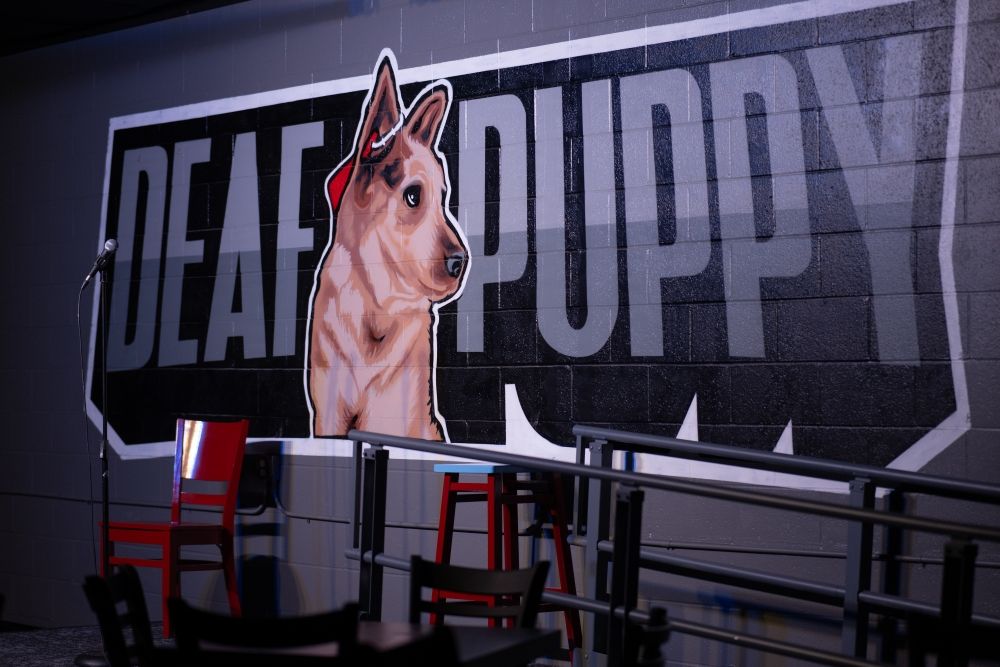 DEAF PUPPY COMEDY CLUB - Updated September 2024 - 49 Photos & 31 ...