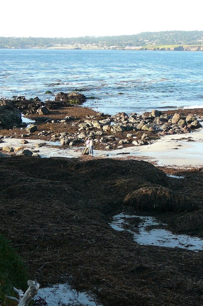 CARMEL POINT - Updated November 2024 - Scenic Rd, Carmel Point ...