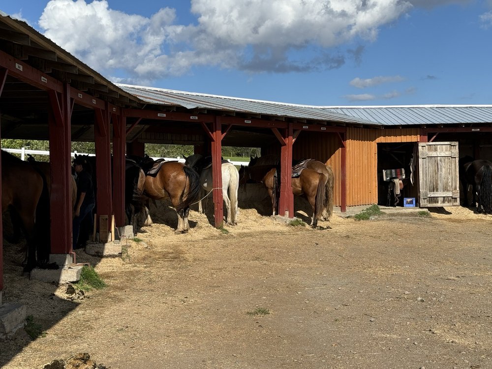 BROADLEAF GUEST RANCH - Updated December 2025 - 41 Photos - 5526 Route ...