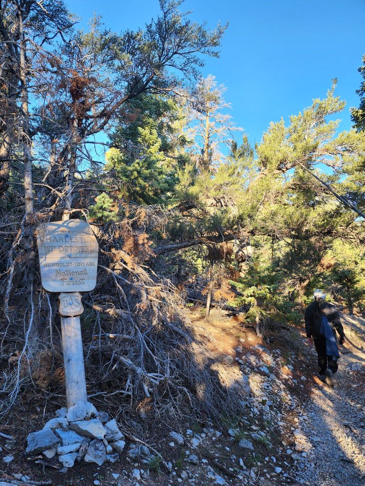 BONANZA TRAIL - Updated May 2026 - 78 Photos - Toiyabe National Forest ...