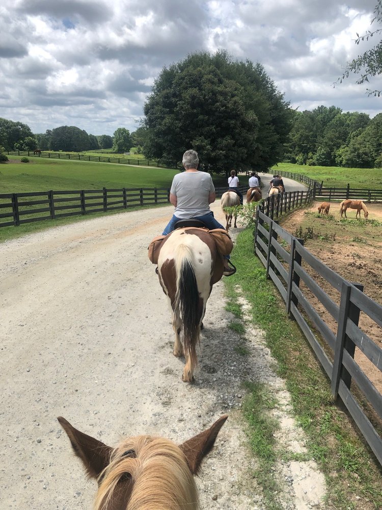 SERENBE TRAILRIDING - Updated July 2024 - 40 Photos & 13 Reviews ...