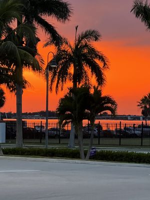 ISLAND PIG AND FISH - BBQ AND FRESH SEAFOOD - Updated December 2025 ...