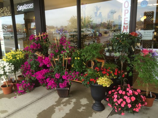 DUFFY’S FLOWERS & PLANTS - Updated October 2025 - 33 Photos & 41 ...
