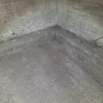 ASAP RODENT SOLUTIONS - Updated June 2024 - 140 Photos & 104 Reviews ...