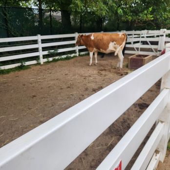 COSLEY ZOO - Updated December 2025 - 330 Photos & 150 Reviews - 1356 N ...