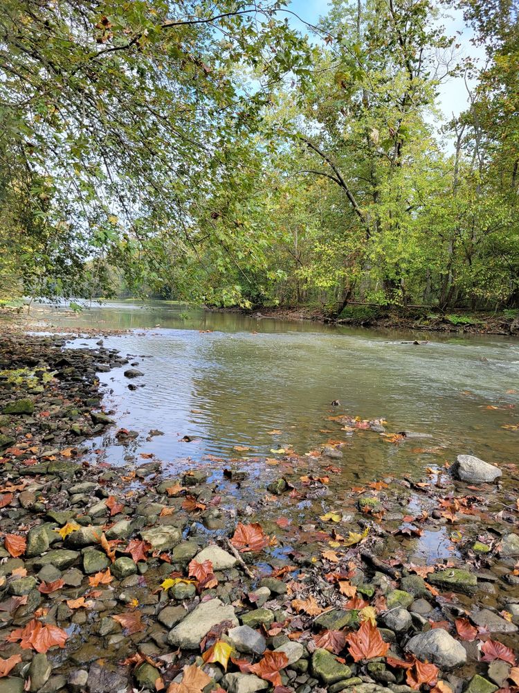 AMBERLEIGH NEIGHBORHOOD PARK - 4797 Carrigan Ridge Dr, Dublin, OH - Yelp