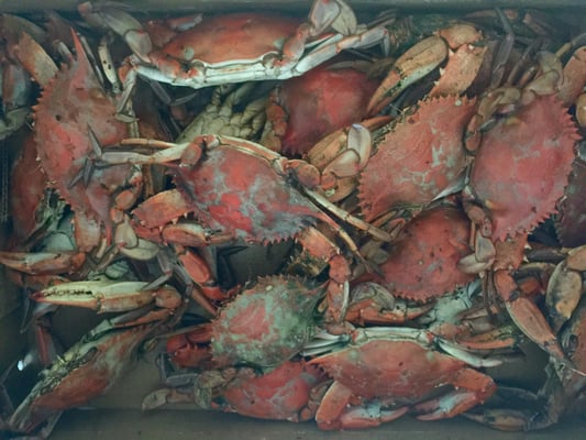 NANCY’S SEAFOOD - 12 Photos & 18 Reviews - 1302 W Bay St, Savannah, GA ...