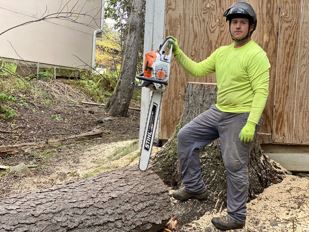 HOMER TREE SERVICE - Updated December 2025 - 17 Photos - Homer, Alaska ...
