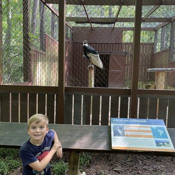 CAROLINA RAPTOR CENTER - Updated December 2025 - 178 Photos & 80 ...