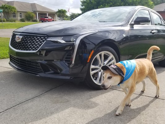 VAL WARD CADILLAC - Updated September 2025 - 30 Photos & 55 Reviews ...