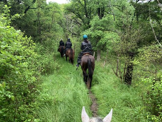TEXAS TRAIL RIDES - 95 Photos & 106 Reviews - 8601 Bluff Springs Rd ...