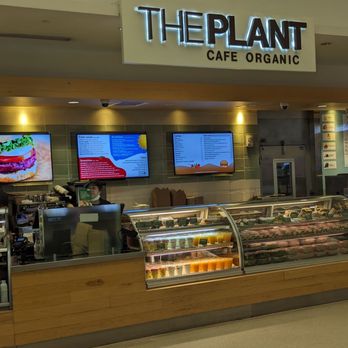 THE PLANT CAFE ORGANIC - Updated April 2025 - 272 Photos & 379 Reviews ...