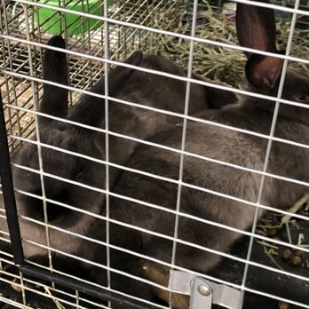 RURAL KING - Updated January 2026 - 28 Photos & 20 Reviews - 10400 ...