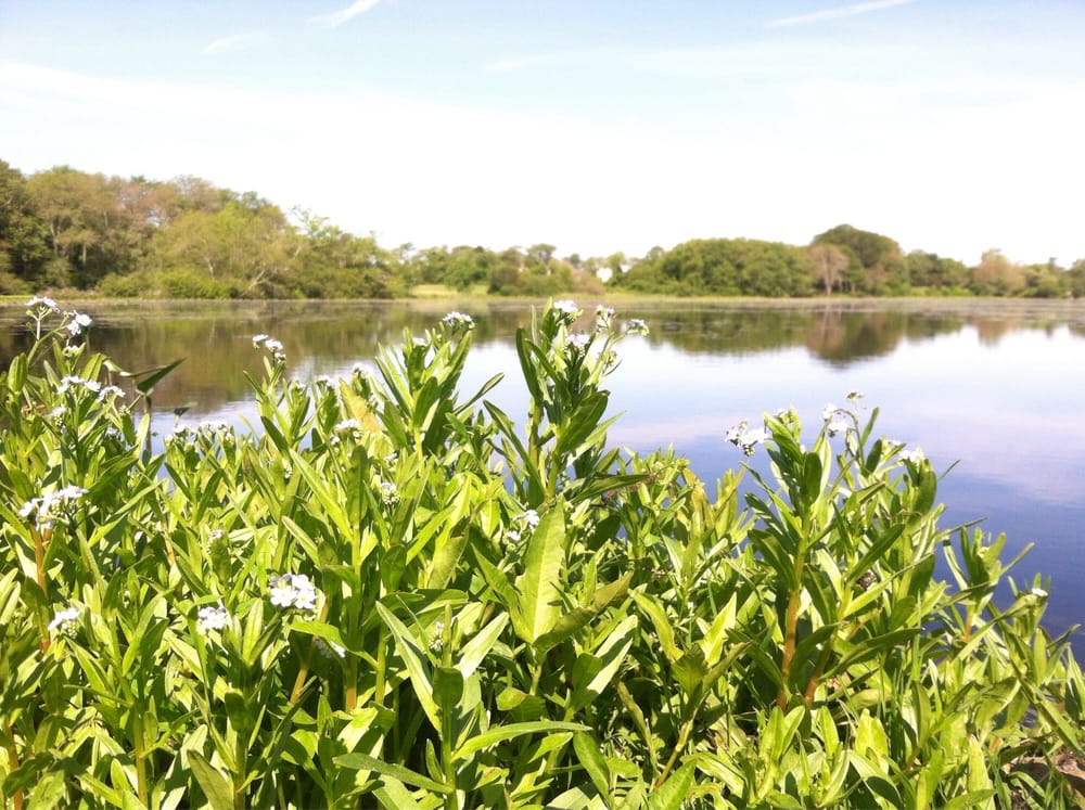 SHAD FACTORY POND - Updated August 2025 - 13 Photos - 65 Reed St ...