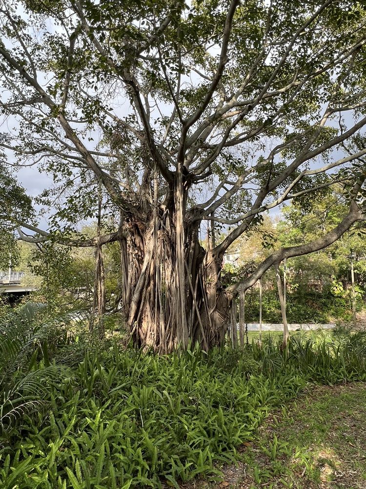 DUNN TRINITY PARK - Updated 2024 - St. Petersburg, Florida - Parks - Yelp