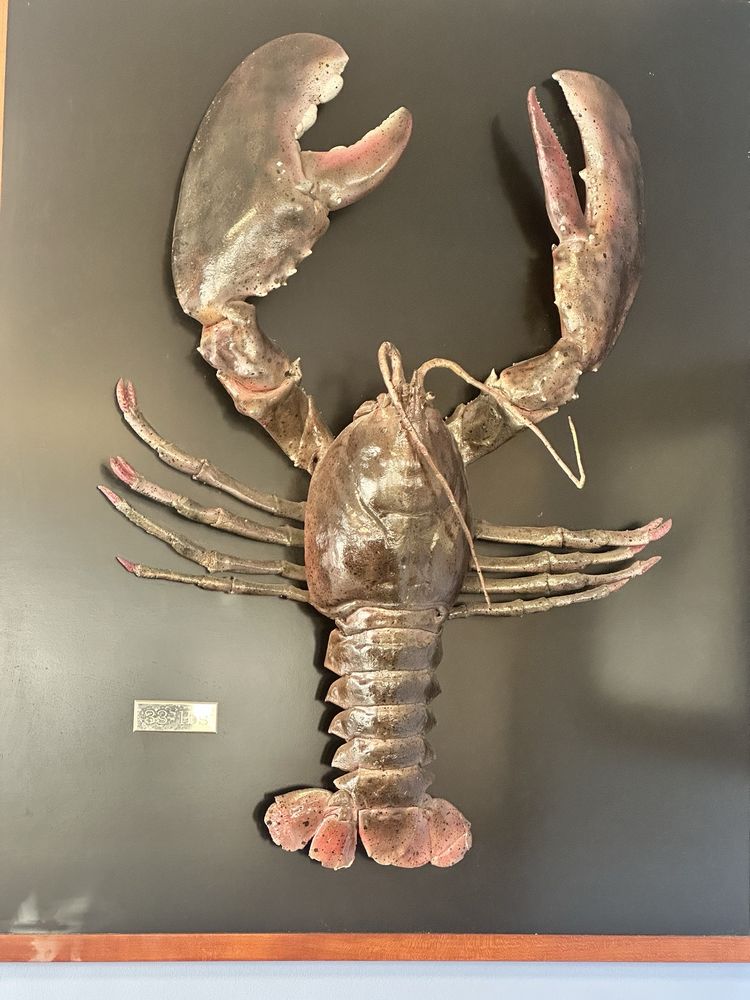 SANDERS FISH MARKET - Updated June 2026 - 104 Photos & 102 Reviews ...