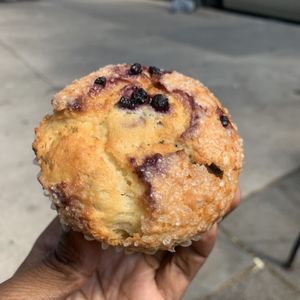 THINKING CUP - 969 Photos & 900 Reviews - 85 Newbury St, Boston, MA ...