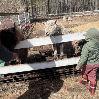 FLAMIG FARM - Updated November 2025 - 393 Photos & 73 Reviews - 7 ...