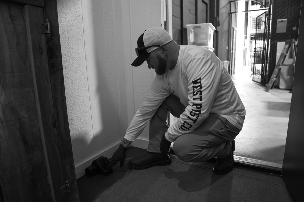 WEST PEST - Updated February 2025 - 16 Photos & 25 Reviews - Santa Cruz ...