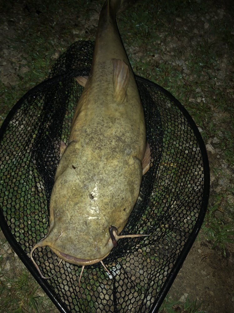 SHERRY’S FISHG LAKE - Updated October 2025 - 2155 Slade Rd, Batavia ...