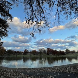 BEE TREE PARK - Updated January 2025 - 53 Photos & 16 Reviews - 2701 ...