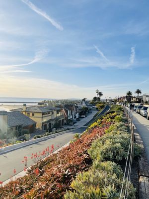 INSPIRATION POINT - 615 Photos & 155 Reviews - Ocean Blvd & Heliotrope ...