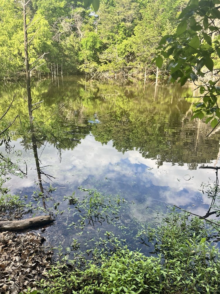 EL RENO WEST KOA - Updated August 2025 - 25 Photos - 301 S Walbaum Rd ...