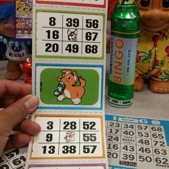 FAIRGROUNDS BINGO - Updated January 2026 - 23 Photos & 17 Reviews - 344 ...
