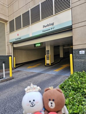 ALII PLACE - Updated January 2026 - 104 Photos & 29 Reviews - 1099 ...