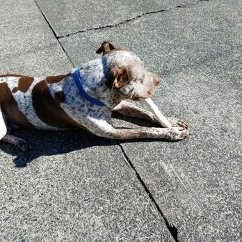 WALMART SUPERCENTER - Updated December 2024 - 133 Photos & 377 Reviews ...