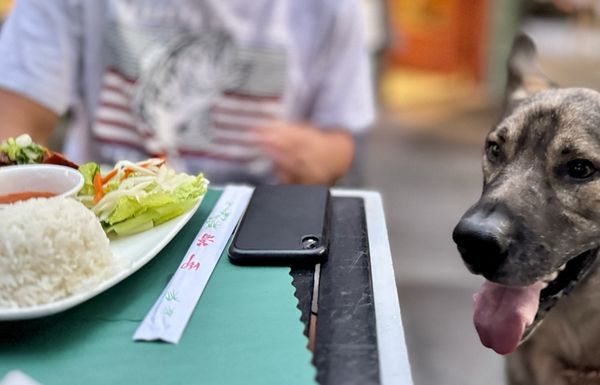 THE PHO CABIN - Updated September 2025 - 299 Photos & 226 Reviews - 200 ...