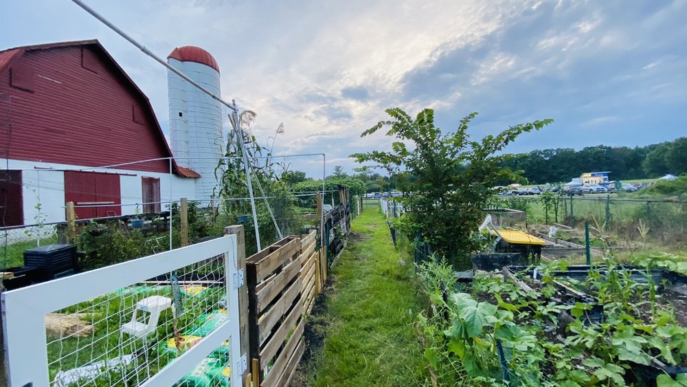 GRIST MILL PARK - Updated December 2025 - 16 Photos - 4320 Mount Vernon ...