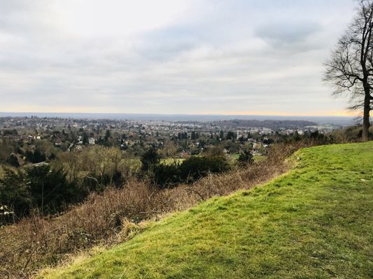 REIGATE HILL & GATTON PARK - Updated October 2024 - Wray Lane, Reigate ...