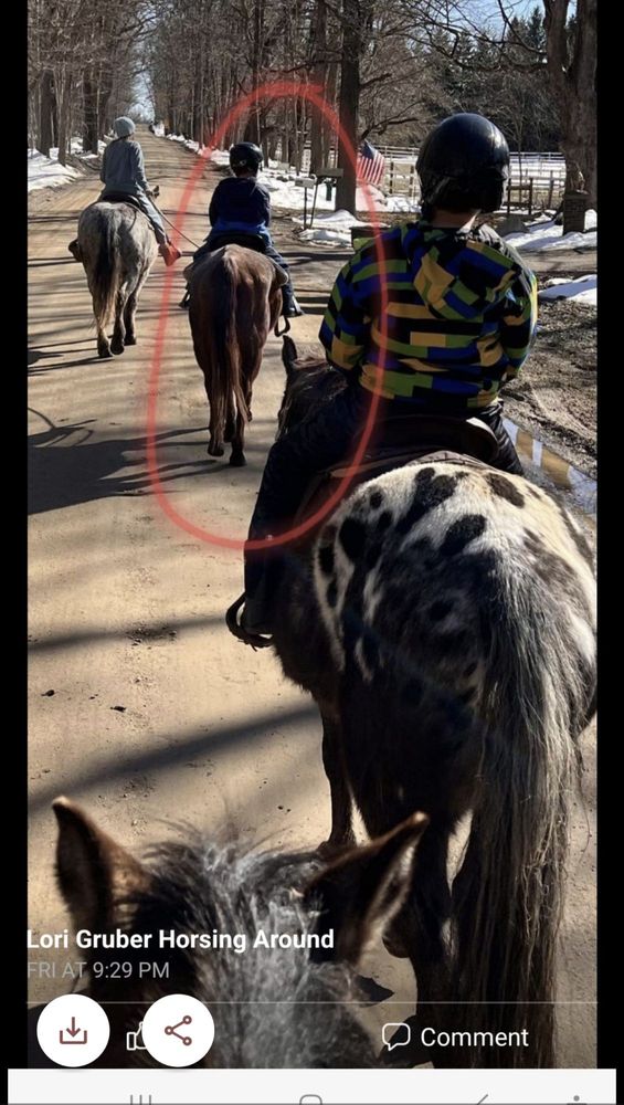 LORI GRUBER HORSING AROUND - Updated October 2025 - 12 Photos & 15 ...