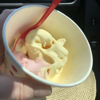 FROYOZ - Updated July 2025 - 60 Photos & 54 Reviews - 2607 US-17 Bus ...