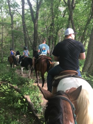 WILD ROSE EQUINE CENTER - 31 Photos & 14 Reviews - Horse Boarding ...
