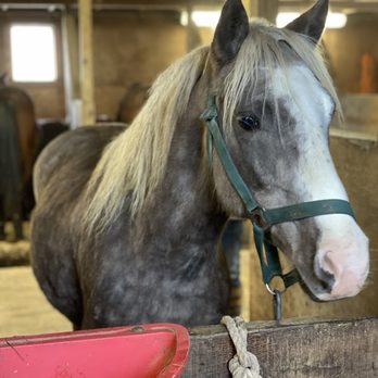 POND HILL RANCH - Updated December 2025 - 14 Photos & 10 Reviews - 1683 ...