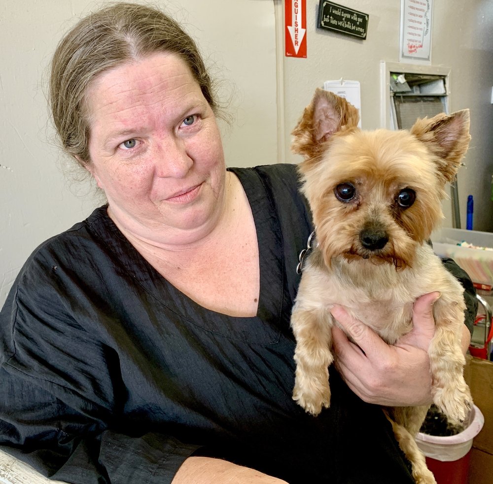 FLOPPY PETS - Updated October 2024 - 15 Photos & 26 Reviews - 2622 Nasa ...