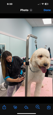 THE GRATEFUL DOG - Updated November 2024 - 8788 Boynton Beach Blvd ...