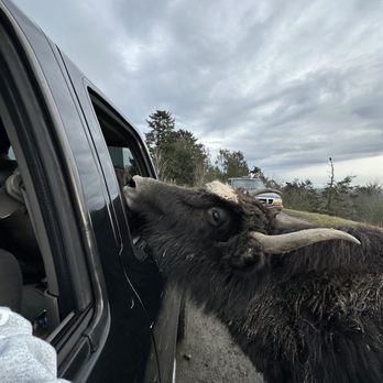 OLYMPIC GAME FARM - Updated July 2024 - 763 Photos & 350 Reviews - 1423 ...