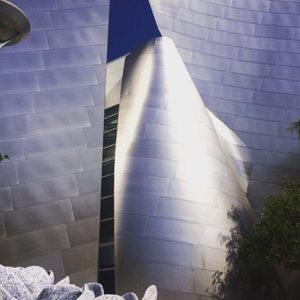 BLUE RIBBON GARDEN AT WALT DISNEY CONCERT HALL - 190 Photos & 24 ...