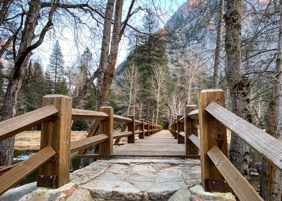 COOK’S MEADOW LOOP - Updated 2024 - 71 Photos - Cook's Meadow Lp ...