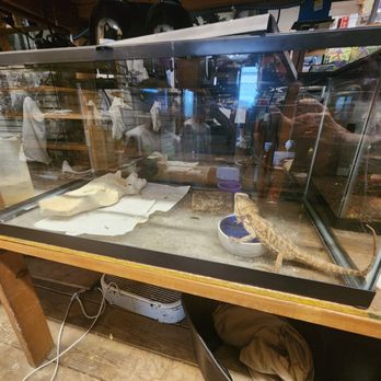 ED’S PET WORLD - Updated October 2025 - 68 Photos & 54 Reviews - 2730 ...