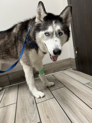 RED RIVER ANIMAL EMERGENCY HOSPITAL AND REFERRAL CENTER - Updated ...