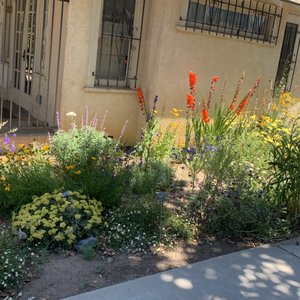 STANISLAUS ANIMAL SERVICES AGENCY - 37 Photos & 76 Reviews - 3647 ...