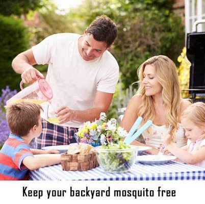 ECOSHIELD PEST SOLUTIONS - Updated November 2025 - 45 Photos & 210 ...