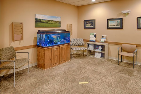 BAYSTATE GASTROENTEROLOGY - GREENFIELD - Updated September 2025 - 10 ...