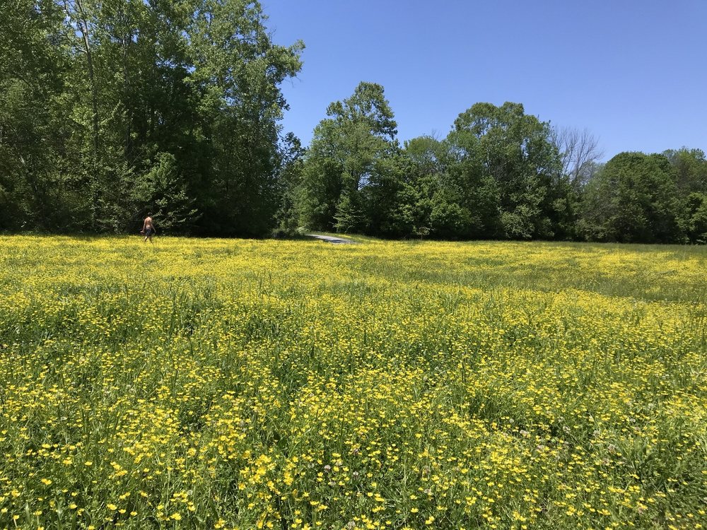 CHATTAHOOCHEE POINTE PARK - Updated March 2025 - 36 Photos - 5790 ...