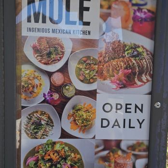 MOLE - Updated December 2025 - 975 Photos & 714 Reviews - 725 Az-179 ...